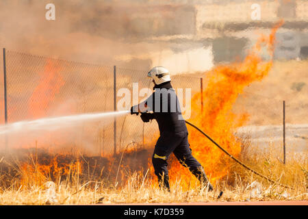 fireman with hose putting out fire Stock Photo: 33788573 - Alamy