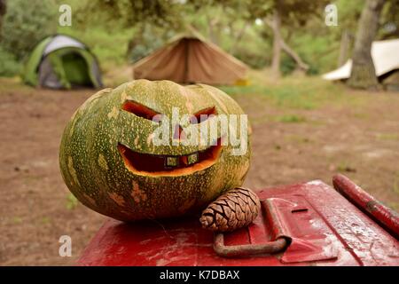 Smiling boy carving a Halloween pumpkin in the garden, United States ...
