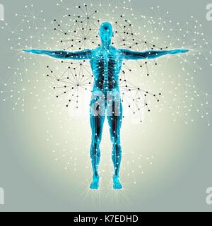 Atomic structure of the human body, illustration Stock Photo - Alamy