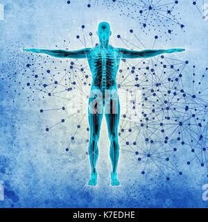 Atomic structure of the human body, illustration Stock Photo - Alamy