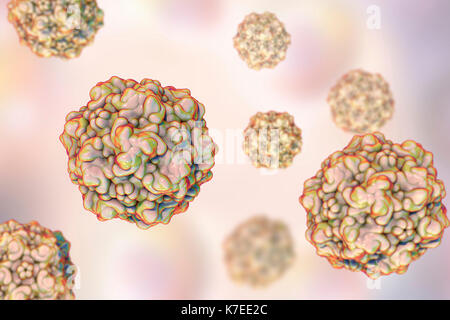 Feline Panleukopenia Virus (FPV) , computer illustration. This virus ...