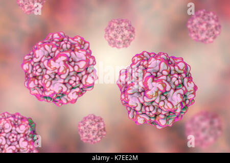 Feline Panleukopenia Virus (FPV) , computer illustration. This virus ...
