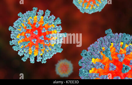Measles virus particle, computer illustration. This virus, from the ...