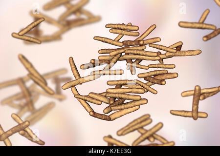Mycobacterium avium, computer illustration. This rod-shaped bacterium ...