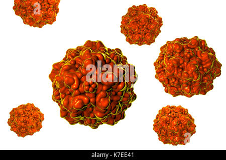 Parvovirus particle. Molecular model showing the structure of the ...
