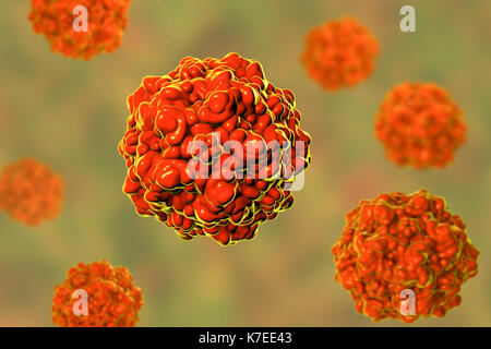 Parvovirus particle. Molecular model showing the structure of the ...