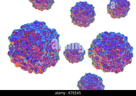Parvovirus particle. Molecular model showing the structure of the ...
