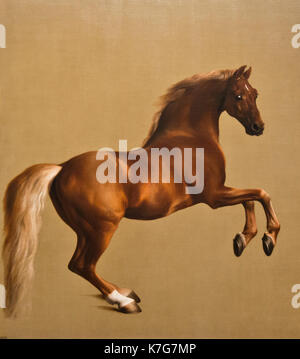 George Stubbs - whistlejacket 1762 Stock Photo - Alamy