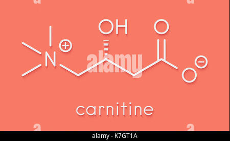 L-Carnitine food supplement molecule chemical structure Ball and stick ...
