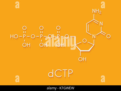 Deoxycytidine triphosphate (dCTP) nucleotide molecule. DNA building ...