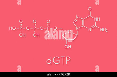 Deoxyguanosine triphosphate (dGTP) nucleotide molecule. DNA building ...