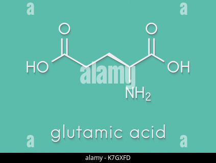 Glutamic acid (l-glutamic acid, Glu, E) amino acid and neurotransmitter ...