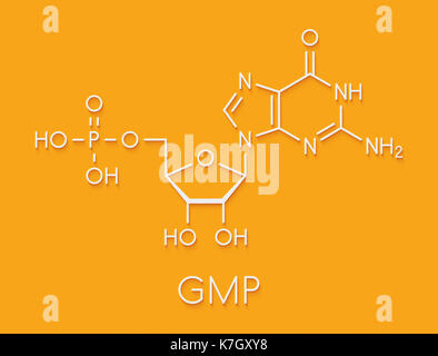 Guanosine monophosphate (GMP, guanylic acid) RNA building block ...