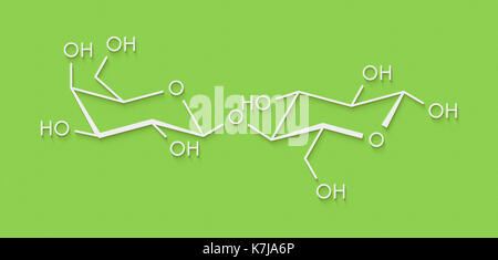 Lactose milk sugar molecule. Skeletal formula Stock Photo - Alamy