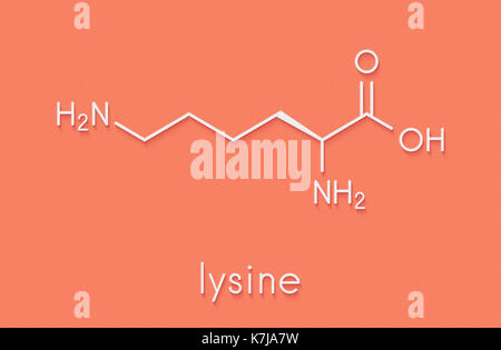 Lysine (l-lysine, Lys, K) amino acid molecule. 3D rendering. Atoms are ...