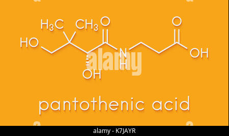 Vitamin B5 (pantothenic acid, pantothenate) molecule. Skeletal formula ...