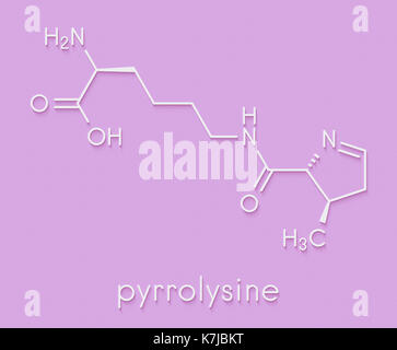 Pyrrolysine (l-pyrrolysine, Pyl, O) amino acid molecule. Stylized ...