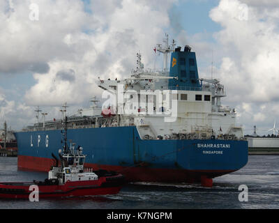 The Shahrastani, a 2016-built vessel with IMO number 9726085, is ...