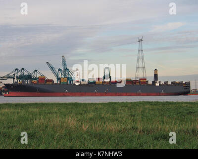 The MSC Filomena, a cargo ship launched in 2010, photographed docked at ...