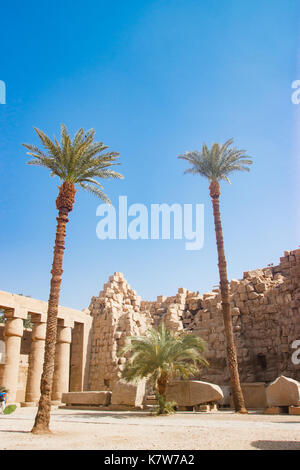 Egypt, Luxor, Pharaoh statue and palm tree at Temple of Karnak Stock ...