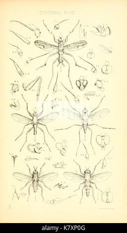 Insecta Britanica, Diptera, by Francis Walker. London, Reeve and Benham ...
