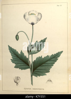 Illustrations of medical botany (Plate IX) BHL5878481 Stock Photo - Alamy