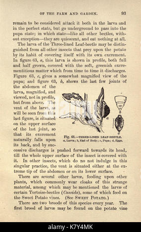This work focuses on insect pests that affect fruit crops, including ...