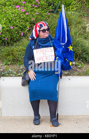 Stop brexit sign at a political protest in London Stock Photo - Alamy