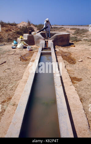north coast of libya --a rare water well in the arid, desert northern ...