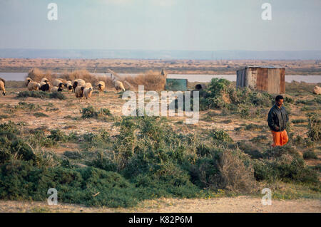 north central coast of libya --The fertile soils of the Green mountains ...