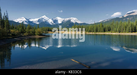 Forgetmenot pond Kananaskis AB Stock Photo - Alamy