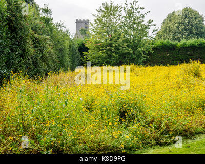 East Ruston Old Vicarage Garden, East Ruston, Norfolk, England, UK ...