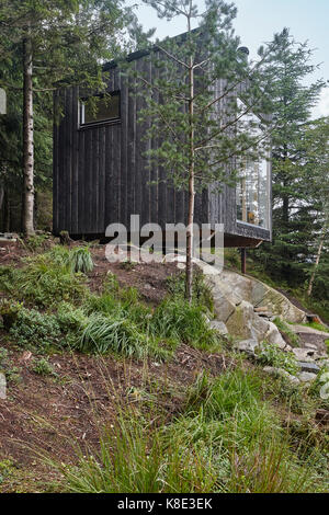 Norwegian wooden modern cabin in the forest. Tubakuba. Bergen area ...