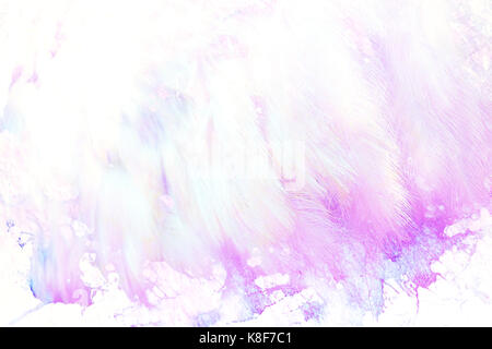 Bird Feathers collage. Photos with graphic effect Stock Photo - Alamy