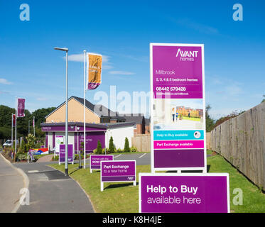 Avant Homes new homes development, north east England. UK Stock Photo ...