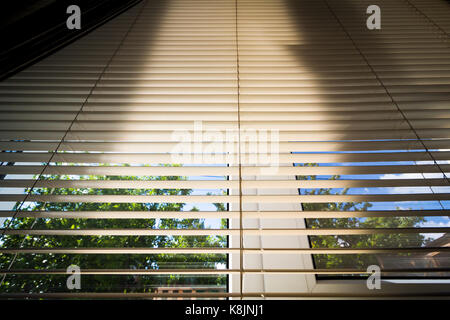 Looking through window blinds, sun light coming inside Stock Photo ...