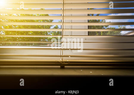 Looking through window blinds, sun light coming inside Stock Photo ...