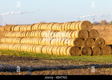haystacks piled straw Stock Photo - Alamy