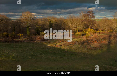 Hembury Castle - Iron Age and medieval hill fort - above the Dart ...