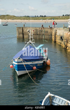 beadnell harbour beadnell northumberland england Stock Photo - Alamy