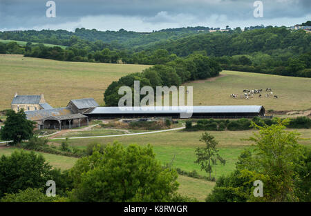 Typical Normandy farm landscape in France Stock Photo - Alamy
