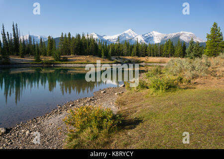 Forgetmenot pond Kananaskis AB Stock Photo - Alamy