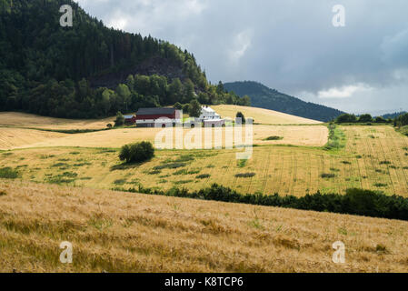 Landscape wit fields, near Skatval, Norway, Scandinavia, Europe Stock ...