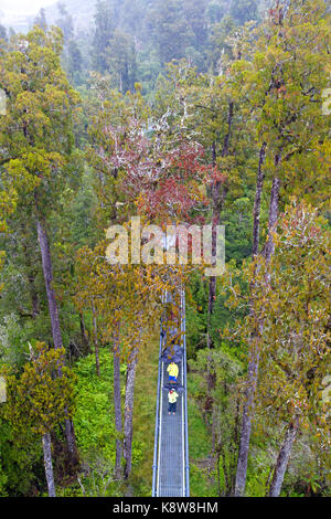West Coast Treetop Walkway near Hokitika Stock Photo - Alamy