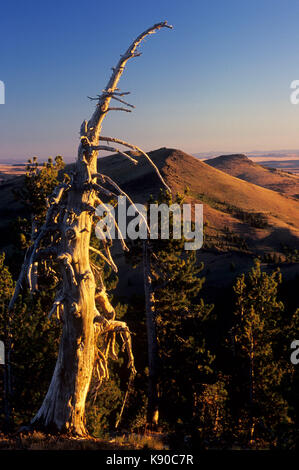 View from Drake Peak Lookout, Fremont National Forest, Oregon Stock ...