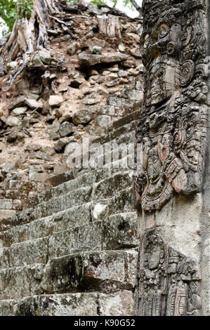 The face on Stelae B in Copan Ruins, UNESCO World Heritage Site, Copan ...