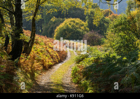 Farndale, October 2015 Stock Photo - Alamy