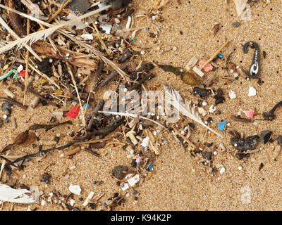 Beaches and rock pools polluted with plastic micro waste washed in on ...