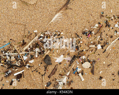 Beaches and rock pools polluted with plastic micro waste washed in on ...