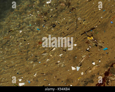 Beaches and rock pools polluted with plastic micro waste washed in on ...